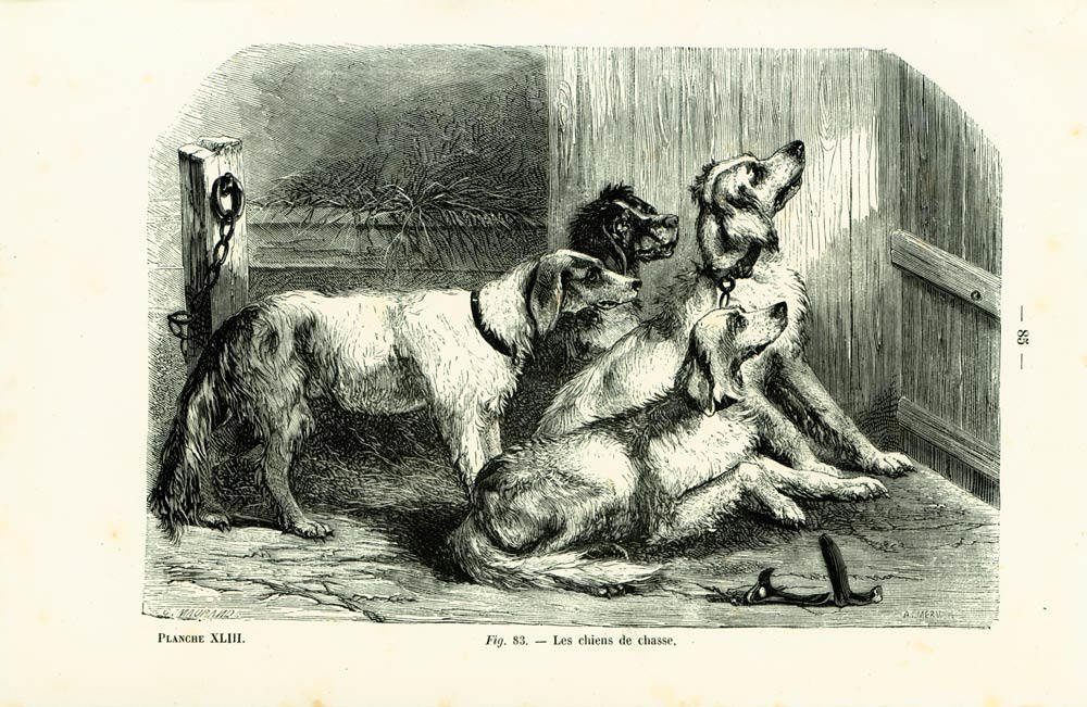 Fairy Tale of the Month: March 2018 The Three Languages – Part One ...